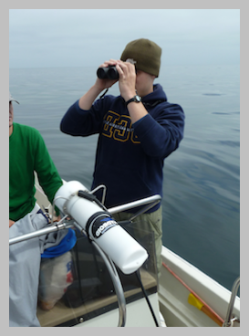 marine organism-environment interaction